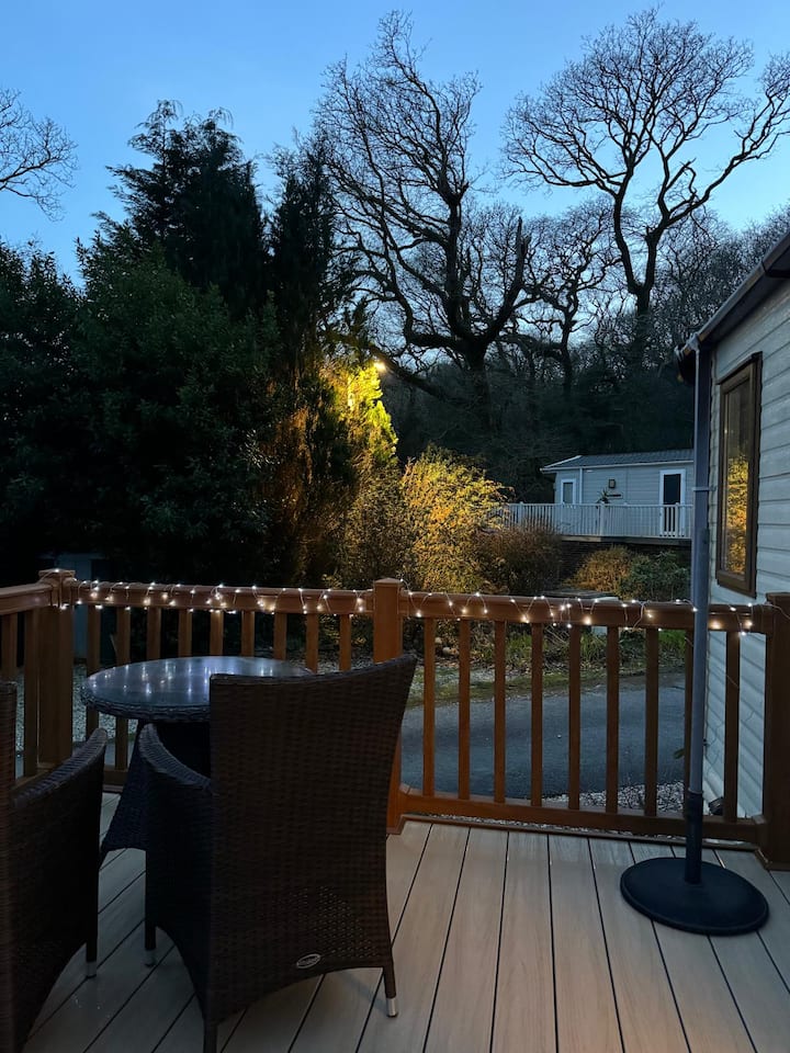 Trees And Waterfalls, Snowdonia National Park. - Beddgelert
