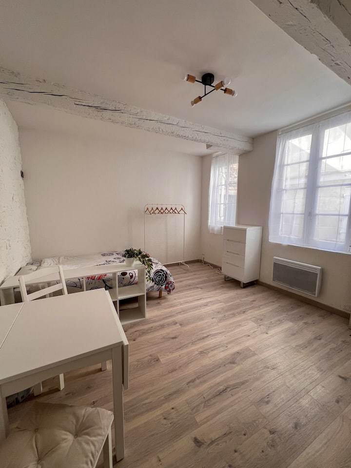 Charmant Studio Rénové En Hyper-centre - Nîmes