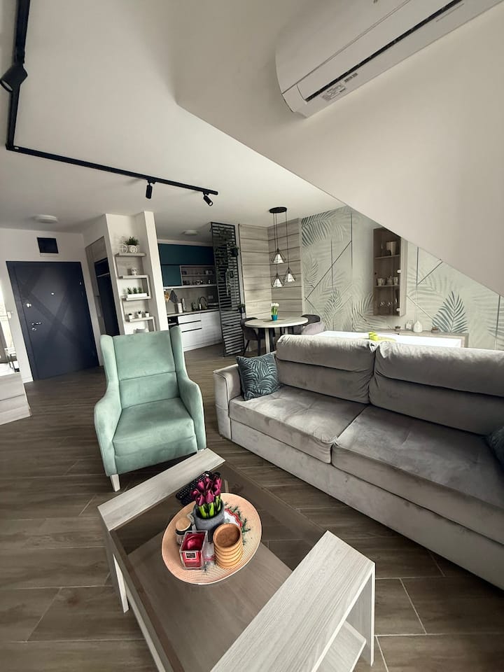 Apartman Zrenjanin - Zrenjanin
