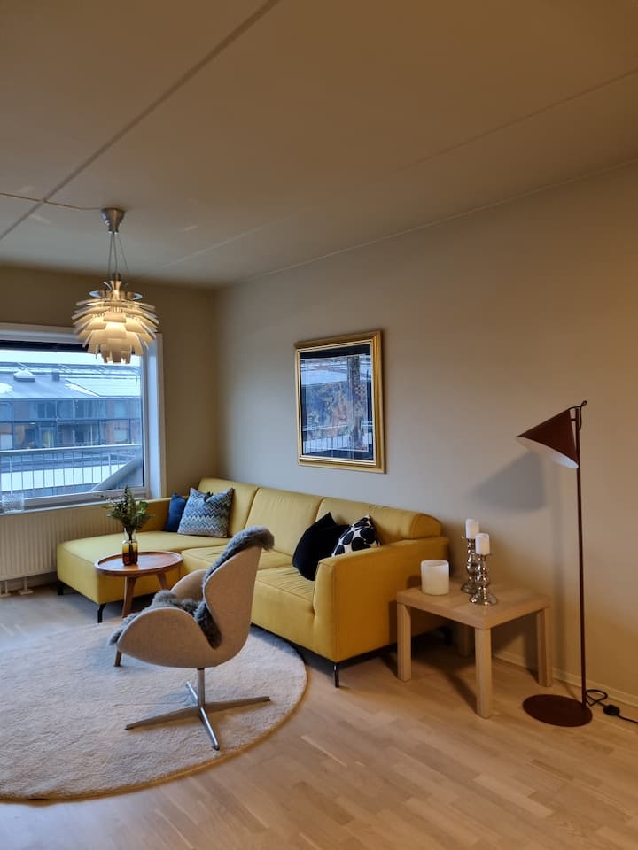Moderne Leilighet  5 Min Med Buss Fra Oslo S. - Oslo