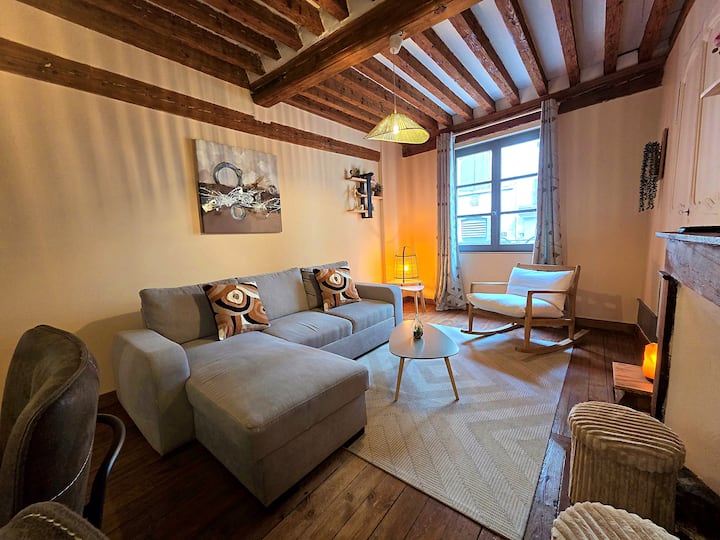 Appartement Le Trilobite - Centre Historique - Le Puy-en-Velay