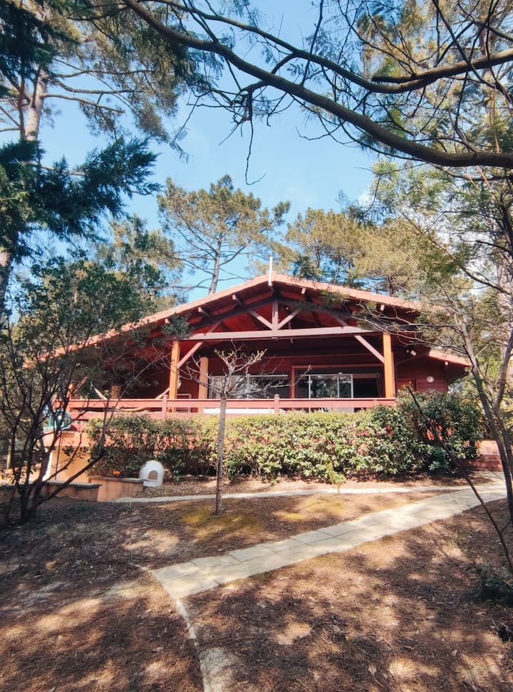 Maison De Famille Dans La Foret Entre Lac Et Océan - Carcans