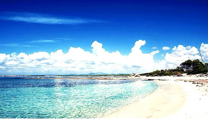 Centro Ciudad Mallorca, Plaza España - Palma de Majorque