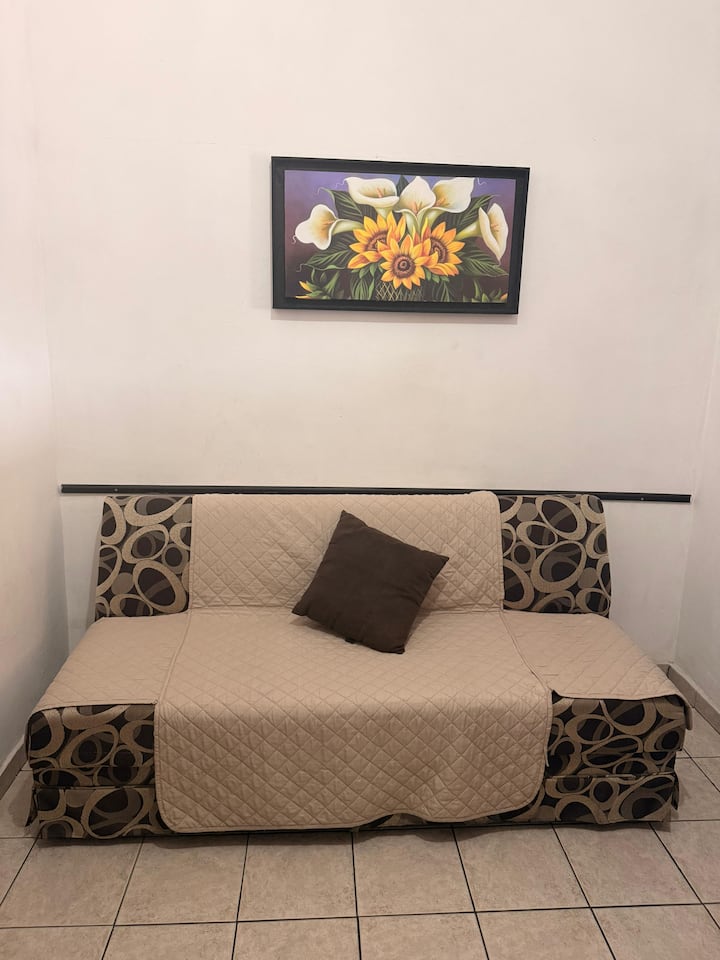 Departamento, Zona Dorada De Monclova. Facturamos! - Monclova