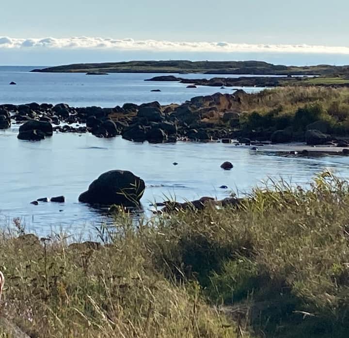 Mindre Villa Ca 300 M Från Badstrand Eller Brygga. - Varberg