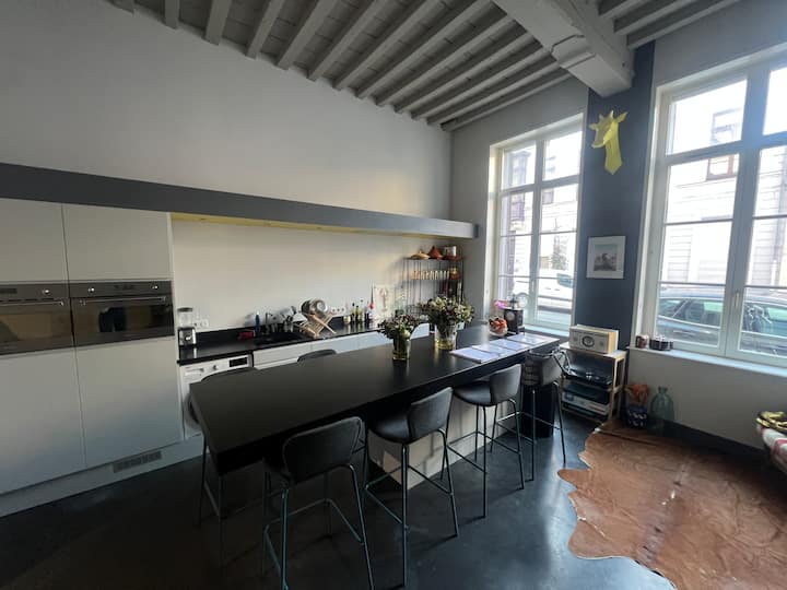 Bienvenue Ici ! Appartement Spacieux Et Moderne - Lille