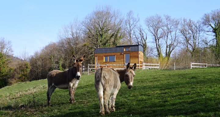 Tiny House "La Tête Dans Les ÉToiles" - Hauteville-Lompnes
