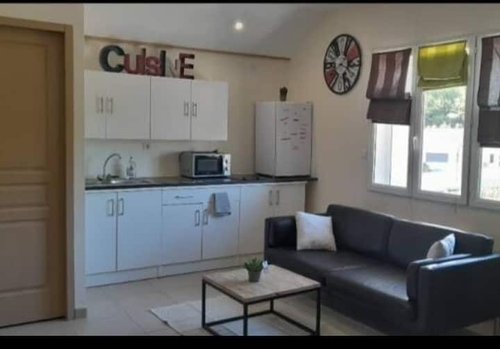 T2 Lagnieu à 15min De Cnpe Et 10 De La Pipa 2lits - Ambérieu-en-Bugey