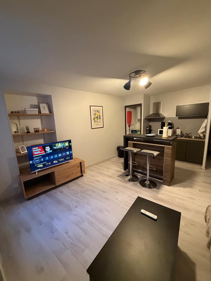 Appartement Hyper Centre Aubenas Face Au Château - Aubenas