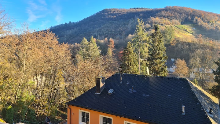 Midi-appartement Zum Gechillten Hirsch Eg - Kinheim