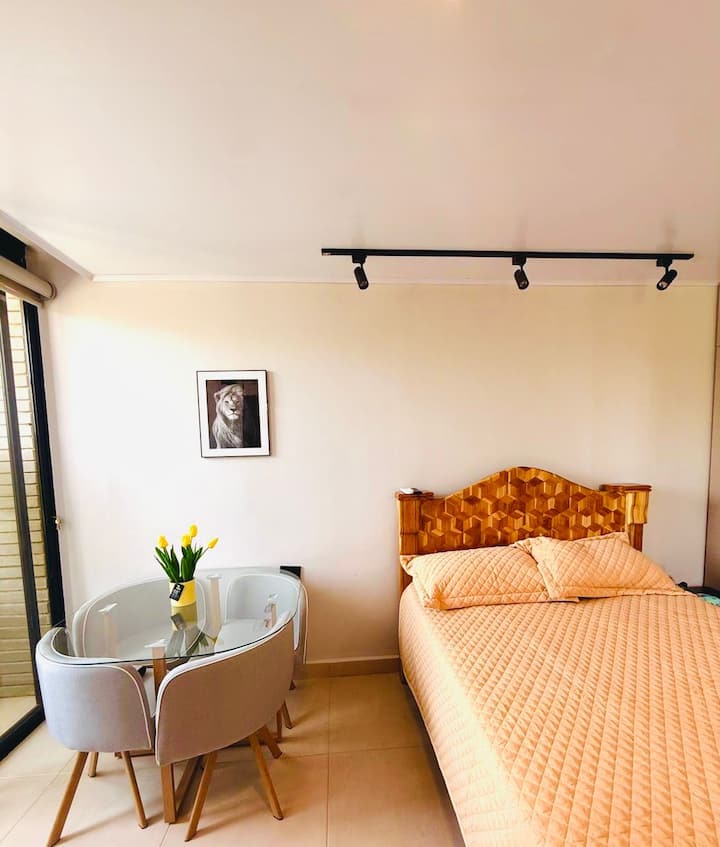 Suite De Lujo Con Balcón Y Aire Acondicionado - Chocó