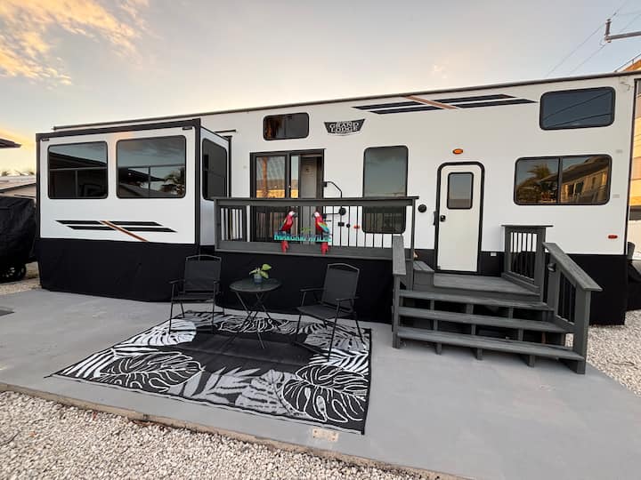 The Tropical Turtle - Bahamas