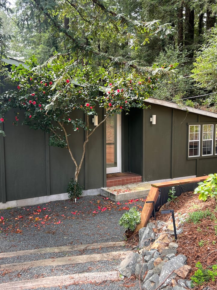 Home Nestled In The Redwoods + Sauna - Guerneville, CA