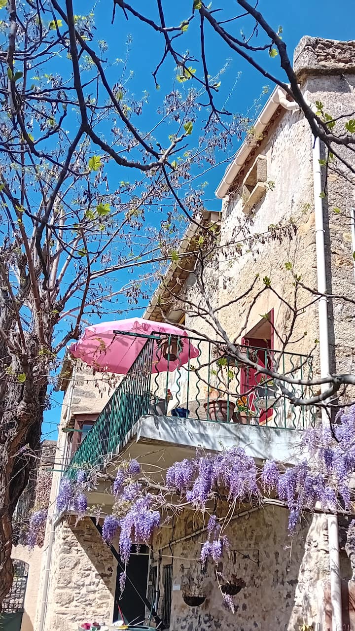 Le Charme De L'ancien - Pézenas