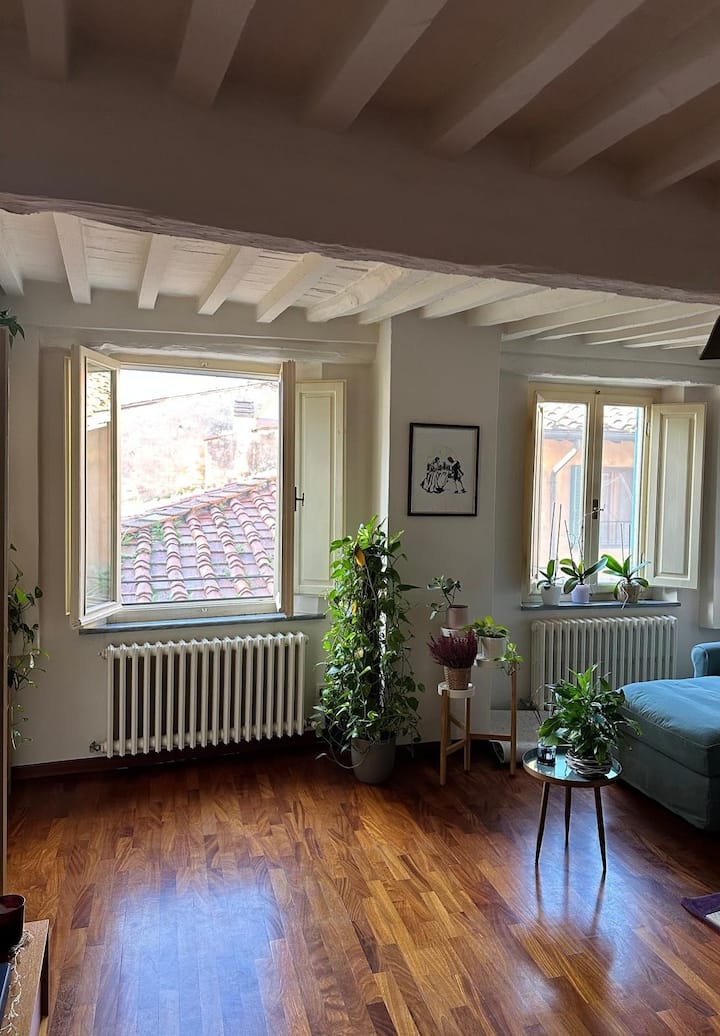 Tavoleria 2br Apartment Pisa City Center - Pise