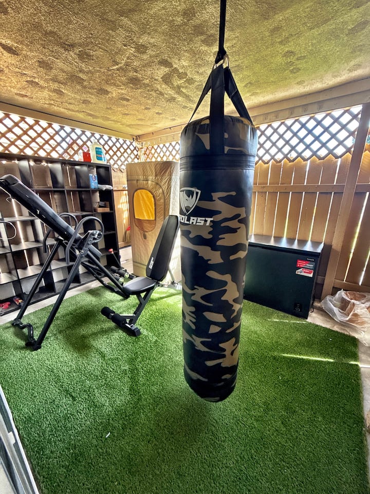 Ice Bath Gym Ps5 And Enclosed Patio For Dogs In Oc - Anaheim