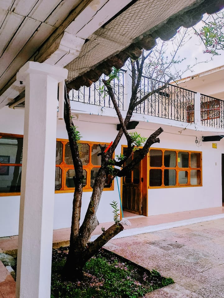 Casa Amplia Y Tranquila Para Disfrutar En Familia. - San Cristóbal de las Casas