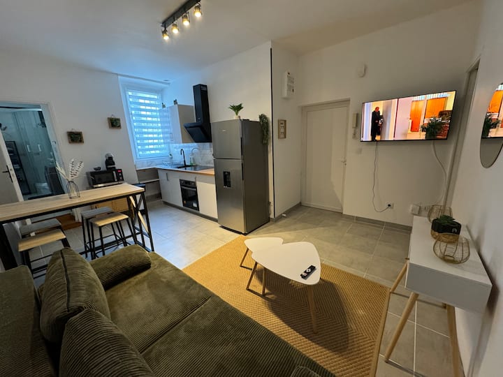 Appartement Rdc En Plein Cœur D’orléans. - Orleans