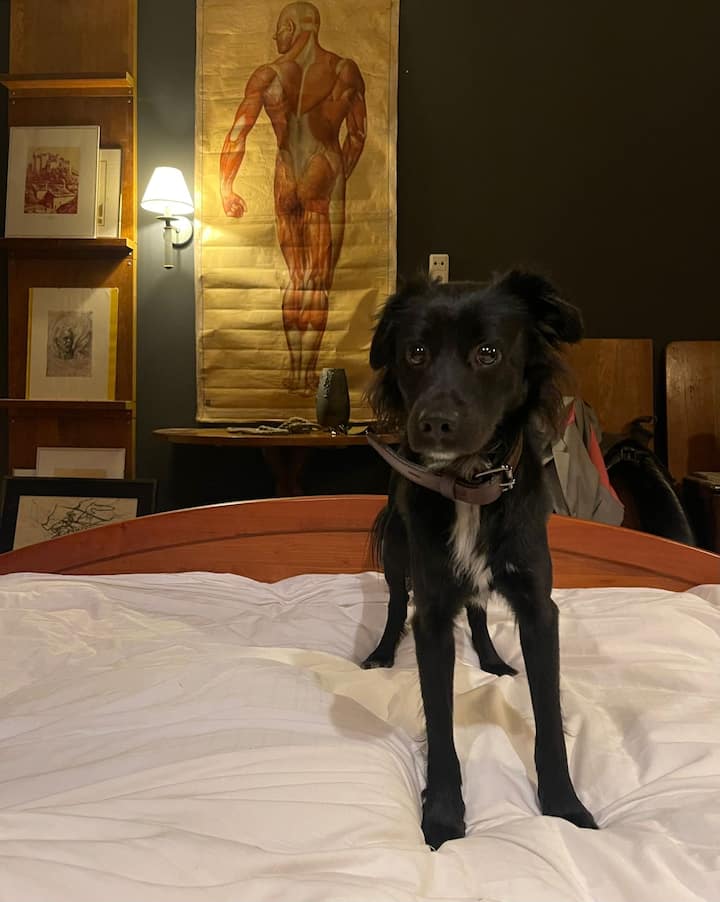 The Golden Lady, Oranienburg Garden Residence - Vianden