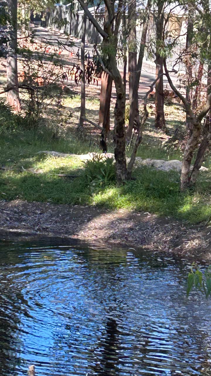 Rustic Mini Homestead - Meadows