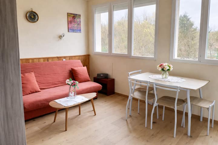 Studio Tout Confort Dans Petite Résidence - Bourbonne-les-Bains