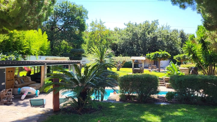 Entre Les Pins Et Les Oliviers - Bormes-les-Mimosas