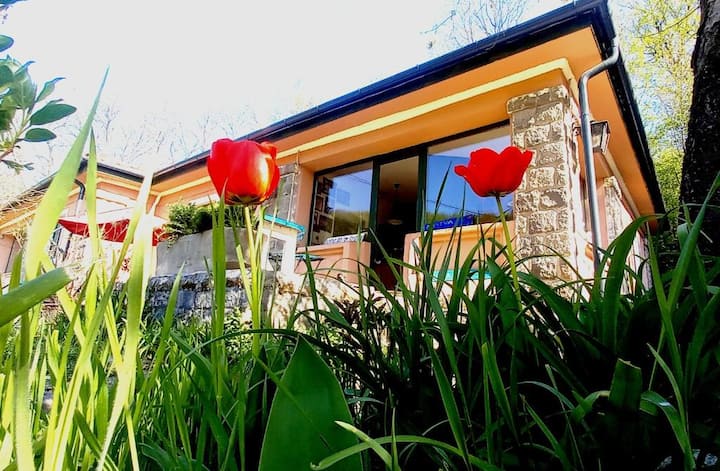 Dömörkapu Rengeteg Vendégház - Szentendre