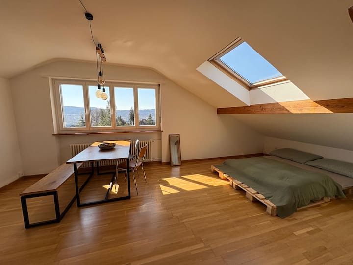 Zentrales Studio Mit Blick üBer Zürich - Zurique