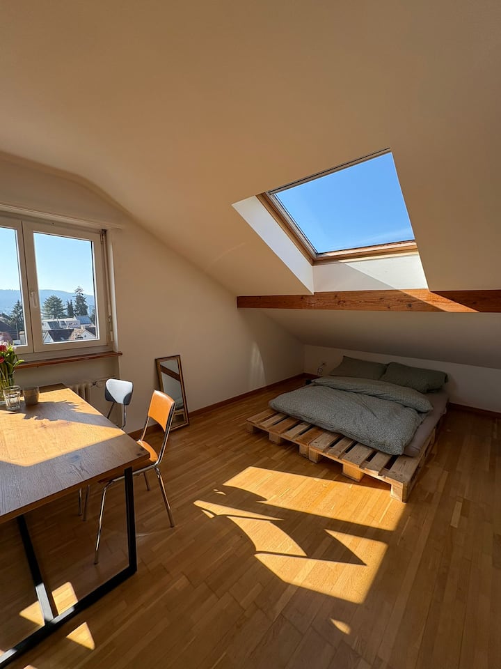 Zentrales Studio Mit Blick üBer Zürich - Zürich