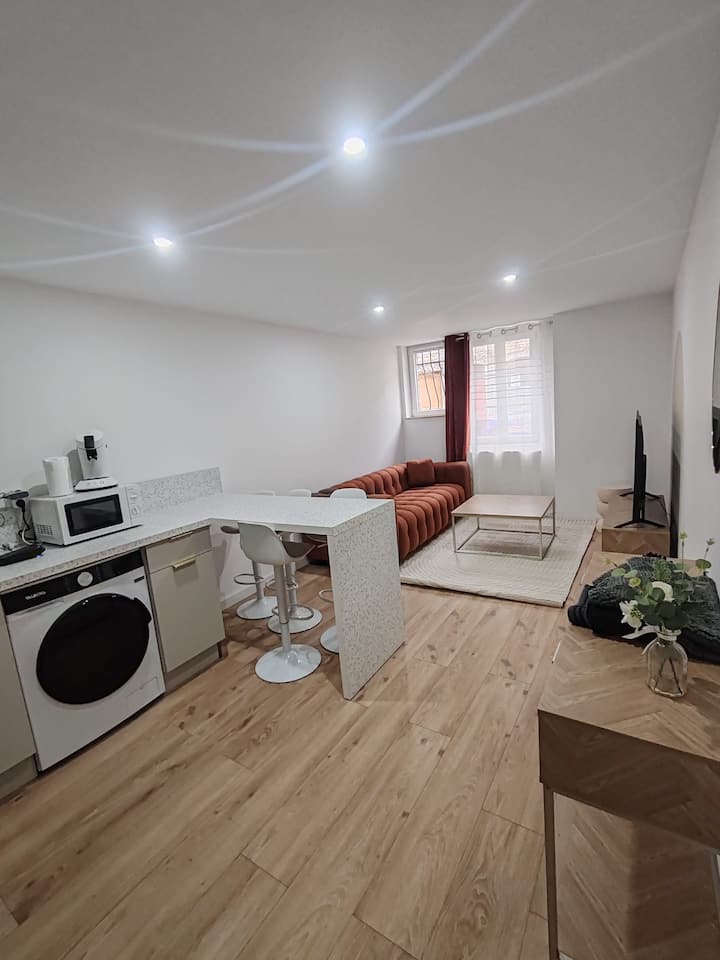 Charmant T2 - Séjournez Face à La Maison Pasteur - Arbois