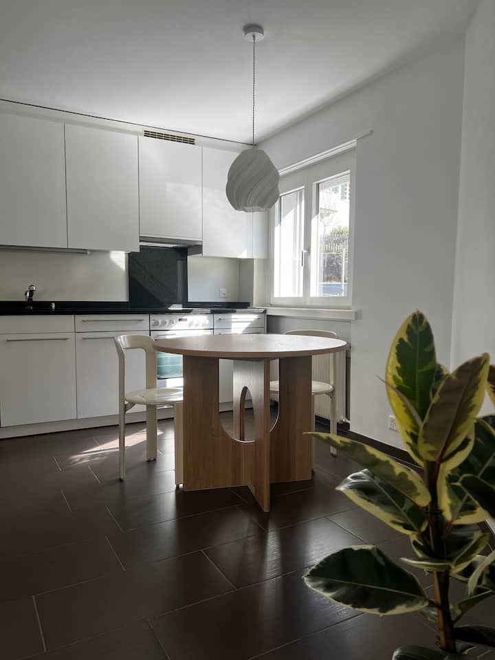 Central Spacious Modern Studio Apartment (45sqm) - Zurique