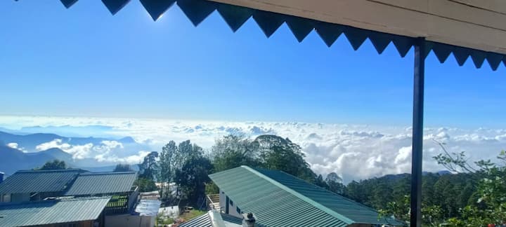Green Trees. - Kodaikanal