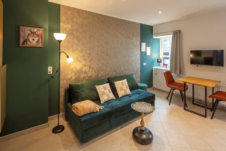 Modern Apartment | Near University Hospital - 괴팅겐