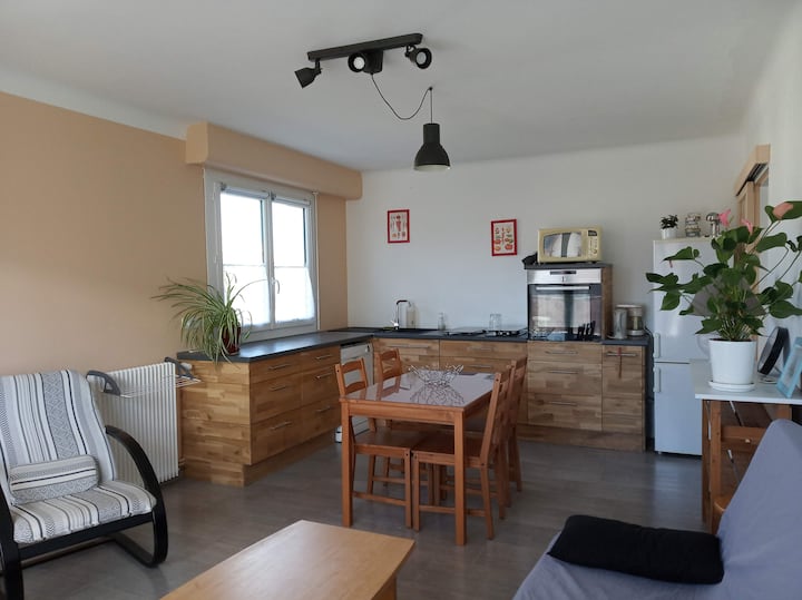 Charmant T3 Lumineux, Calme Et Proche Plages - Le Château-d'Olonne