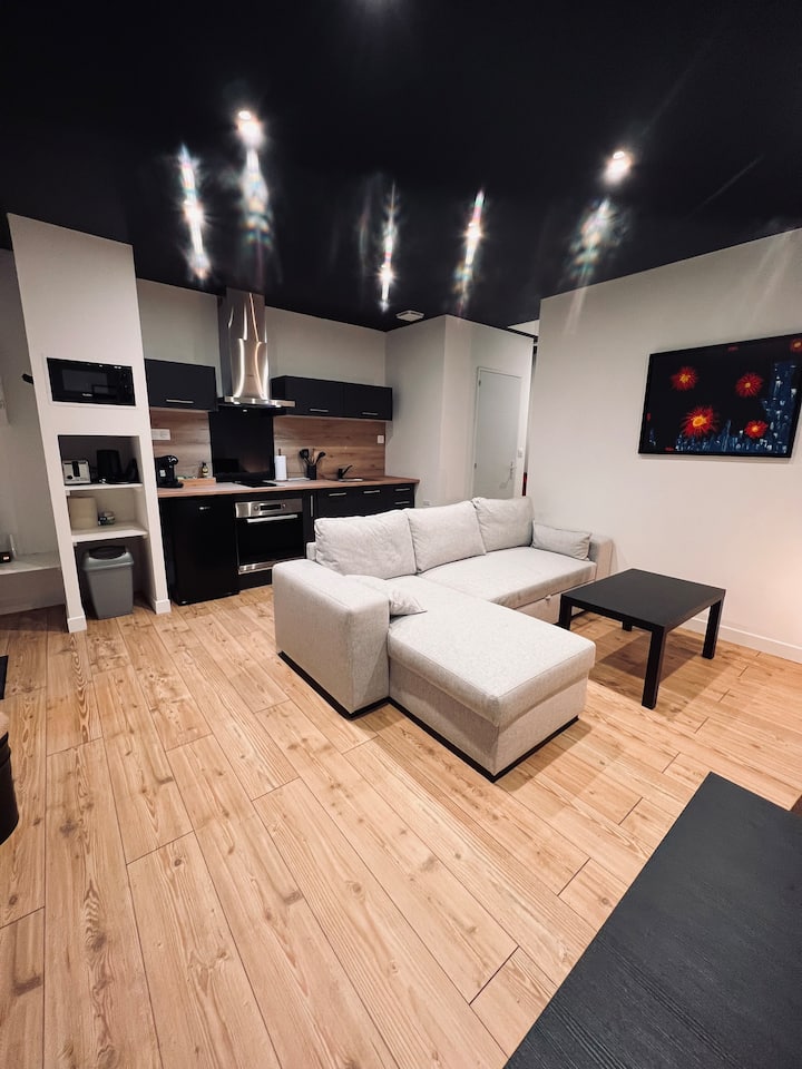 Appartement T2 Au Cœur Du Creusot - Le Creusot