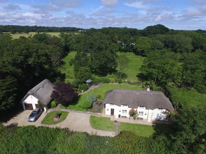 New Forest Thatched Cottage - Highcliffe