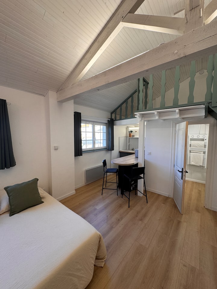 Appartement Centre-ville Proche Puy Du Fou - ibis Les Herbiers