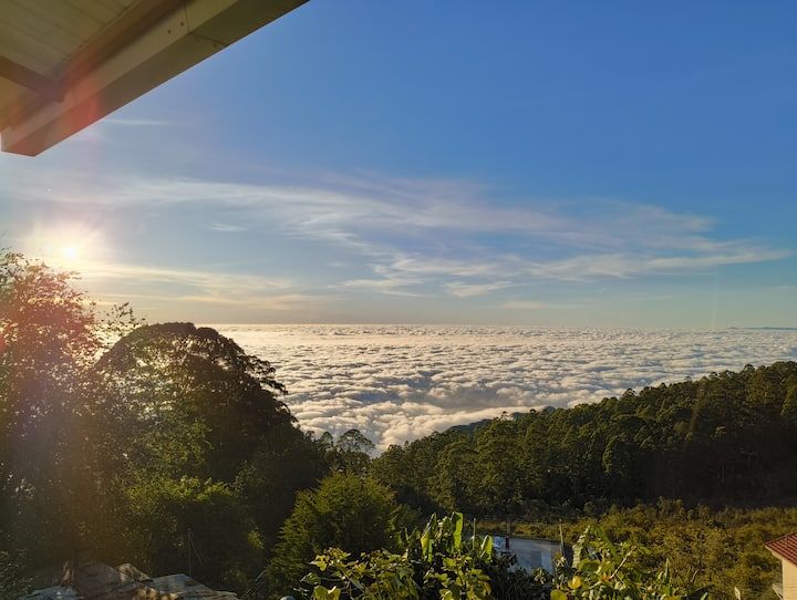 Sky Tree - Kodaikanal
