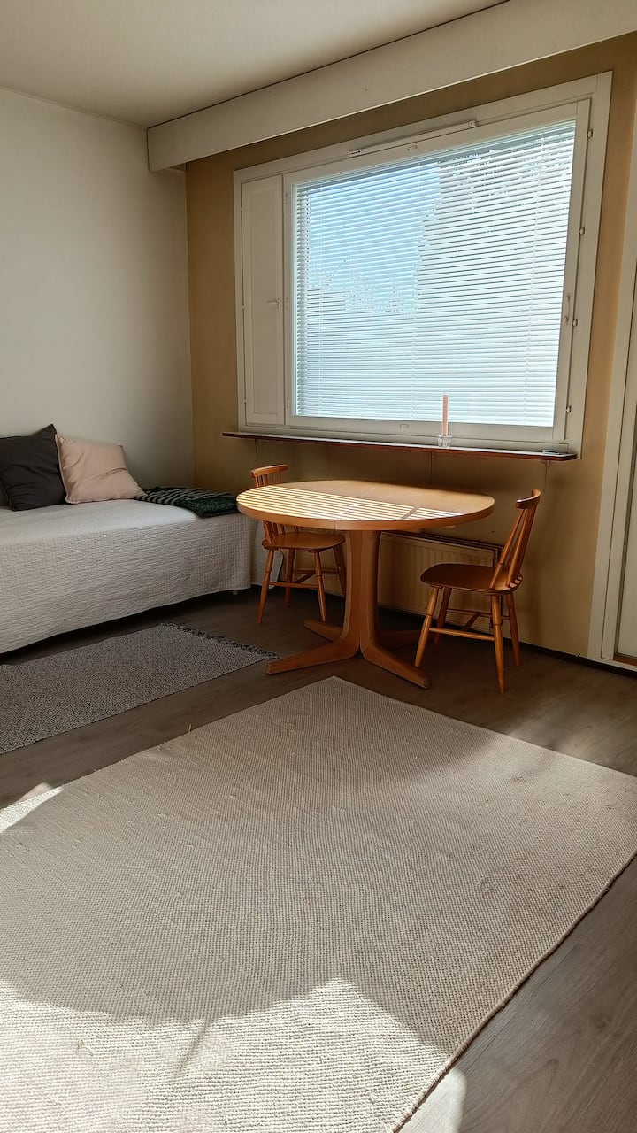 Kompakti Yksiö Juuri Remontoidulla Kylpyhuoneella - Lahti