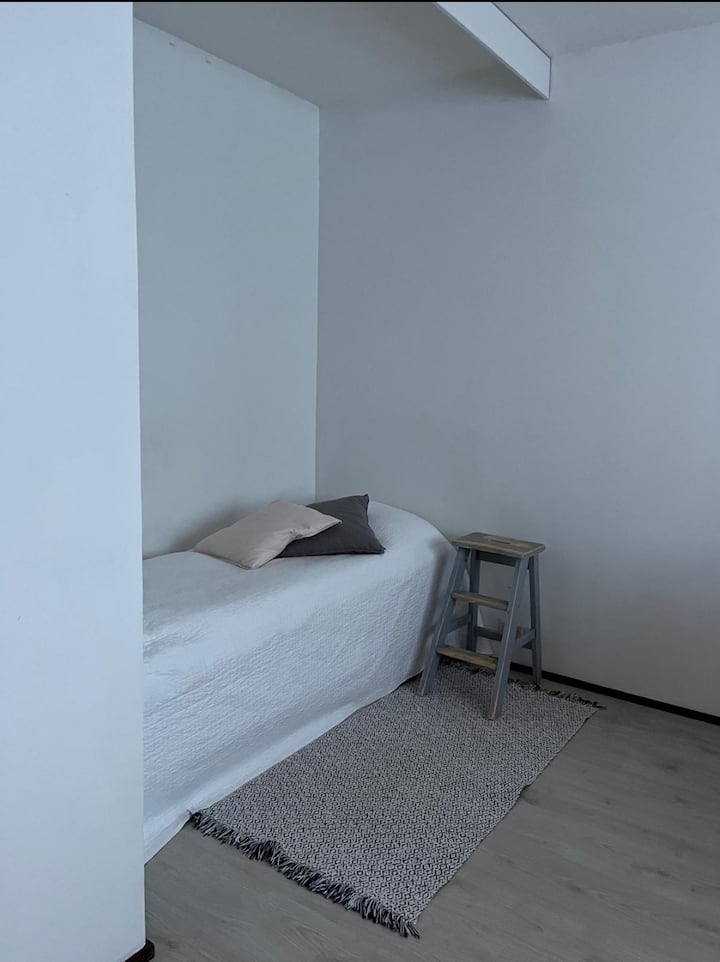 Kompakti Yksiö Juuri Remontoidulla Kylpyhuoneella - Hollola