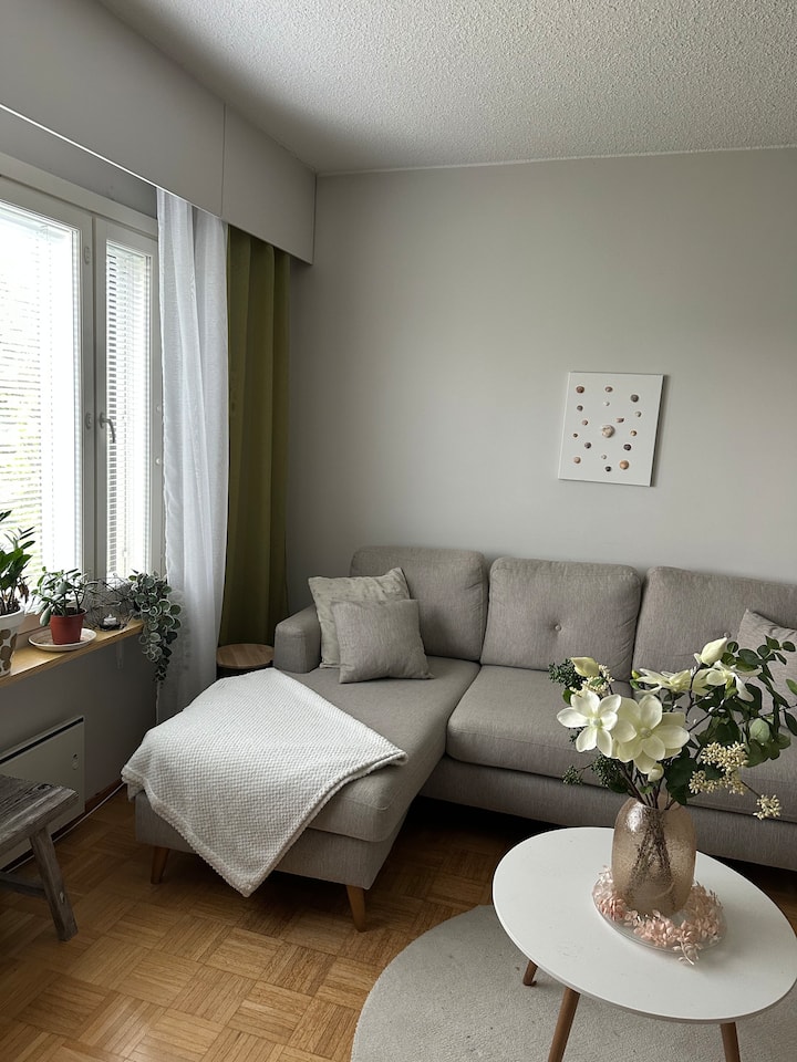 Loistavalla Paikalla Oleva Saunallinen Yksiö - Savonlinna