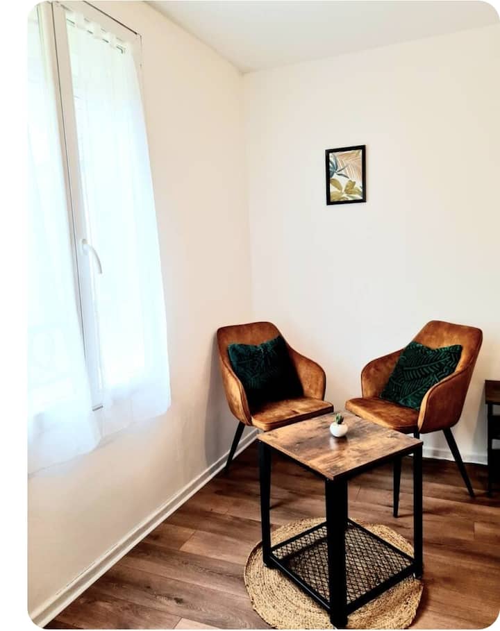 Superbe Appartement - Flers