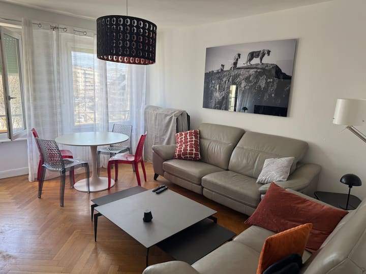 Appartement Carouge Proche Du Centre-ville. - Carouge