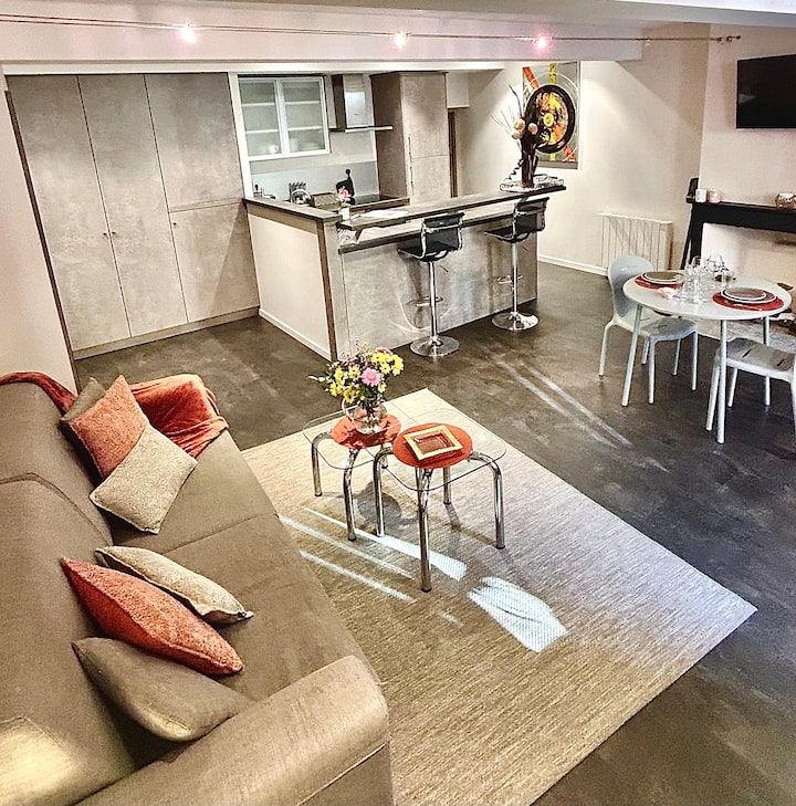 Le Serti Appartement Centre Vieille Ville Annecy - Annecy