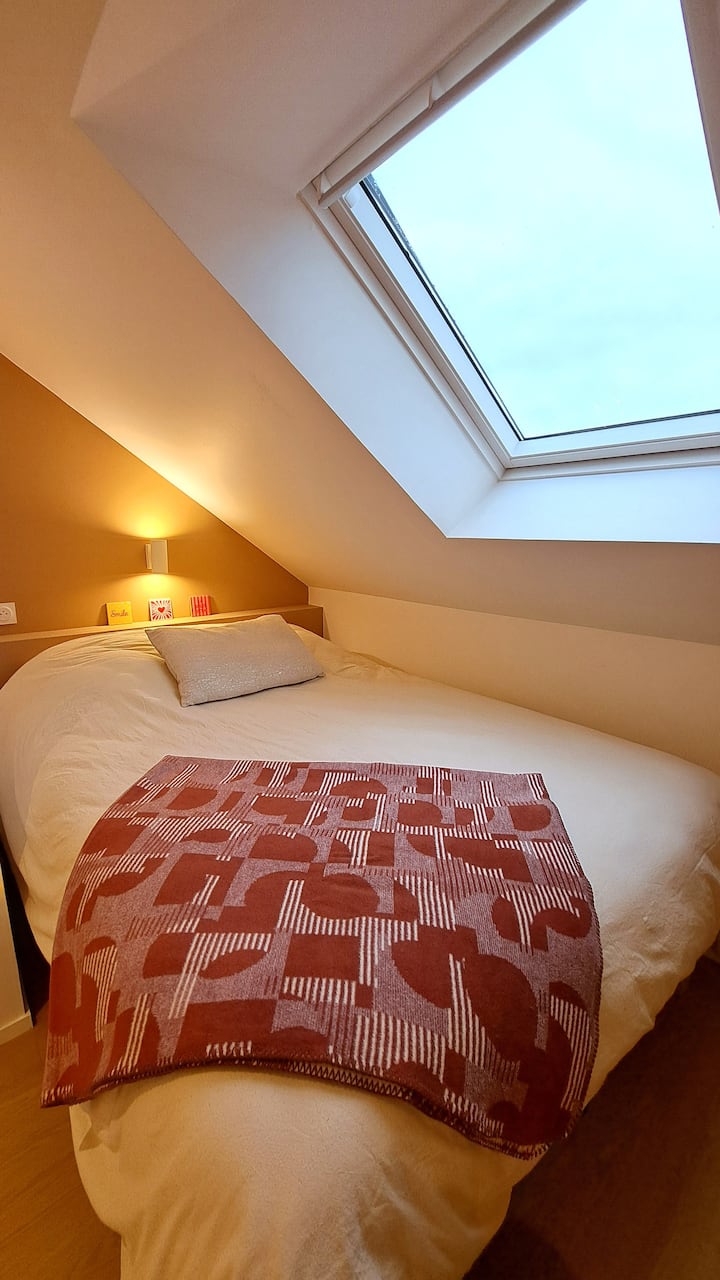 Studio Cosy Indépendant Centre De La Flèche - Zoo - La Flèche