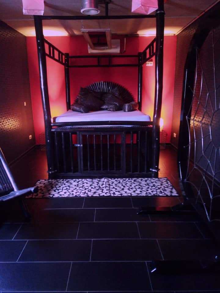 Vip Dachterrassenapartment - Dresden