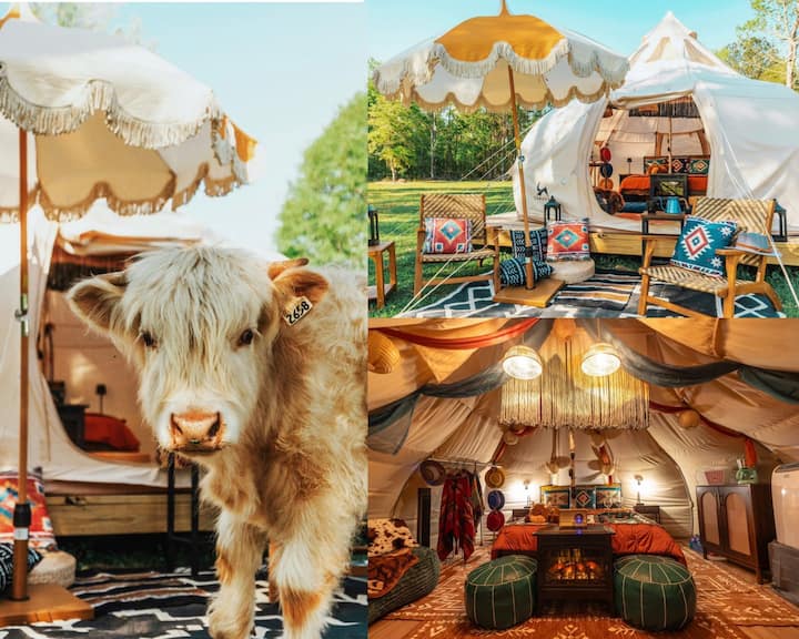 The Lazy Cow Yurt W/ Highland Cows, & Fluffy Sheep - Canada