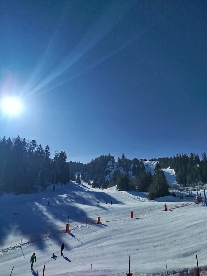 Appartement Au Pied Des Pistes - Gex