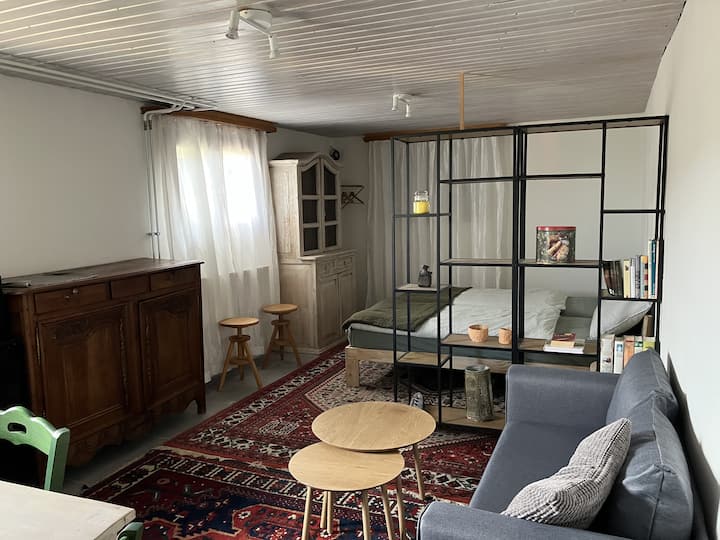 Studio Am Pilatus - Lucerne
