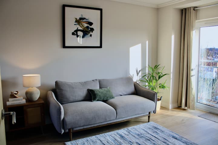 Cute Town Centre Hideaway - Basingstoke